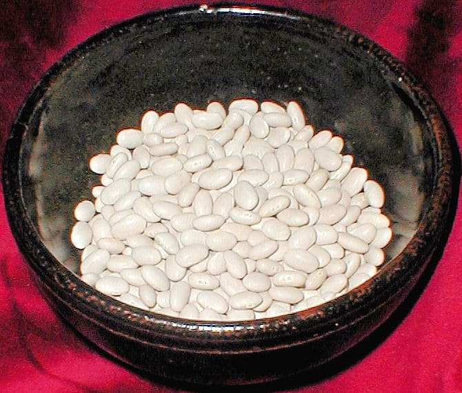 25 Vegan Sources of Calcium | Vegan Food Lover